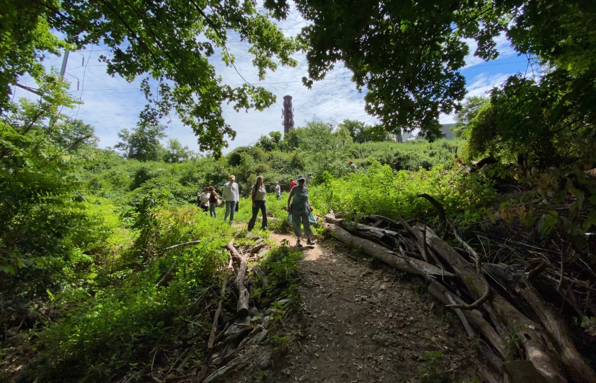 Cresheim Trail Catch Up and Hike Explores the Past, Present, and Future ...